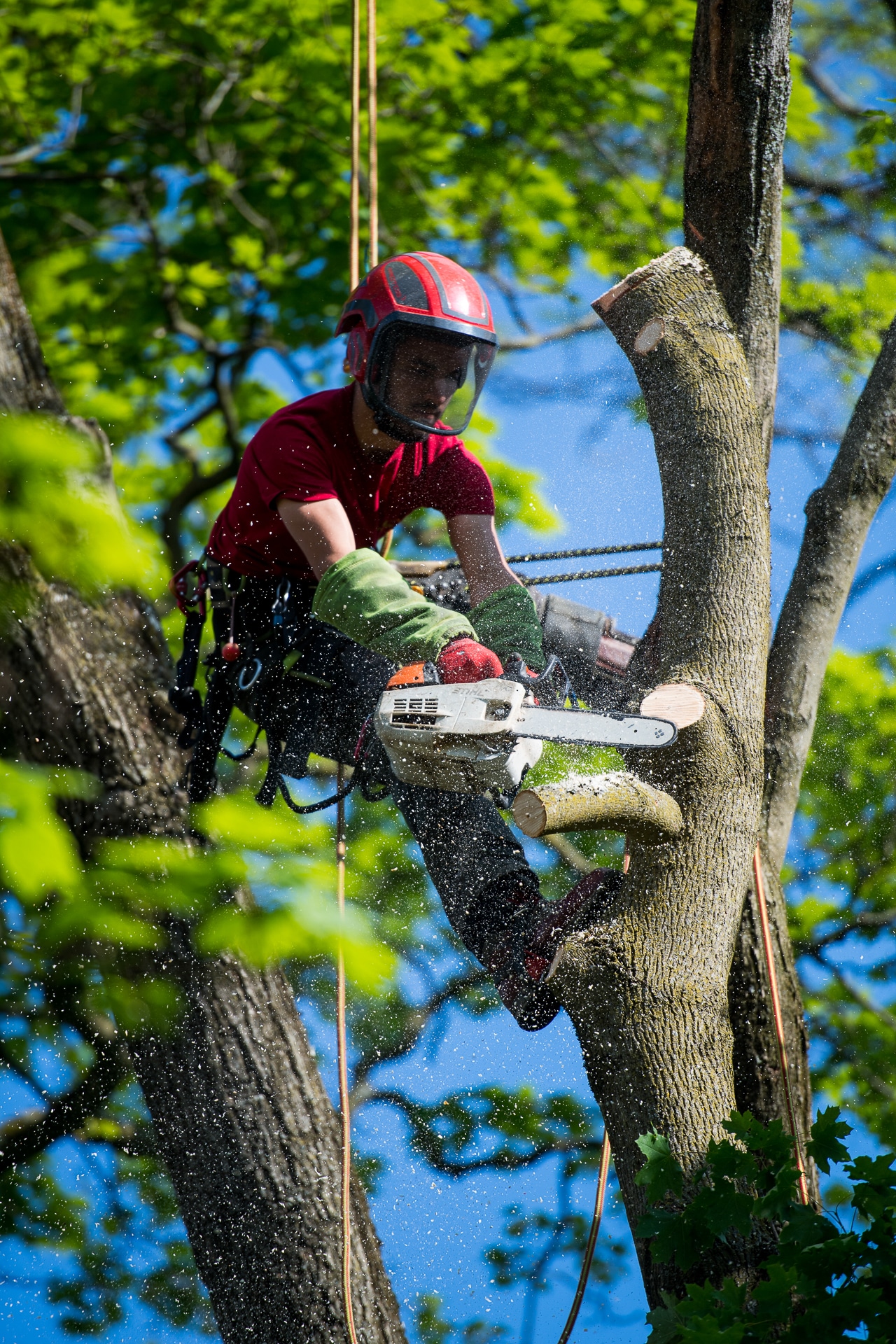 Nos métiers ~ Green Style